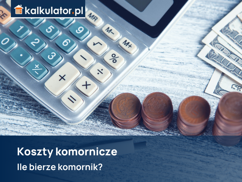 Scoring BIK: definicja, jak się oblicza, skala punktowa i wpływ na ...